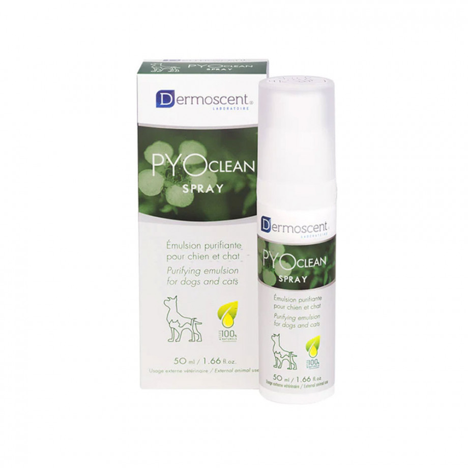 DERMOSCENT PYOCLEAN SPRAY 50ml - Aigan